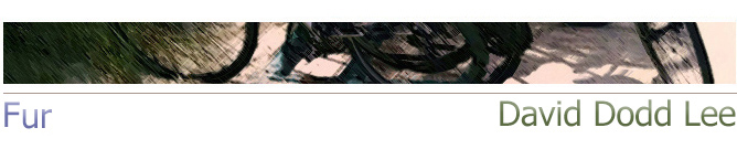 Fur - poetry by David Dodd Lee